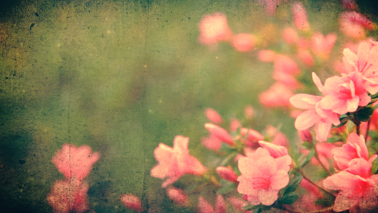 Spring Worship Backgrounds