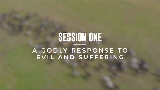 Small Group Study Videos - SermonCentral.com