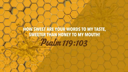 Sweet Like Honey: Sermon Series Kit Downloads - SermonCentral.com