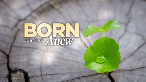 Born Anew: Sermon Series Kit Downloads - SermonCentral.com