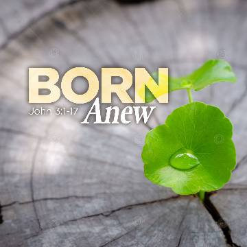 Born Anew: Sermon Series Kit Downloads - SermonCentral.com