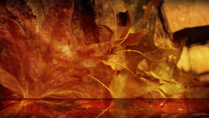 Thanksgiving Worship Backgrounds Thanksgiving Food Drive + Harvest