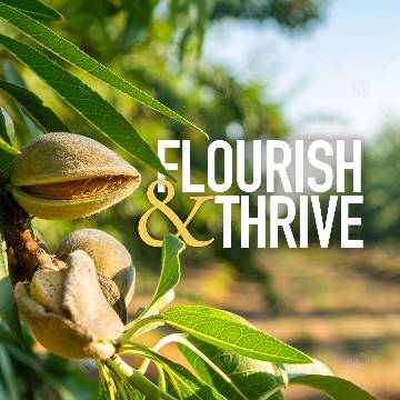 Flourish and Thrive: Sermon Series Kit Downloads - SermonCentral.com