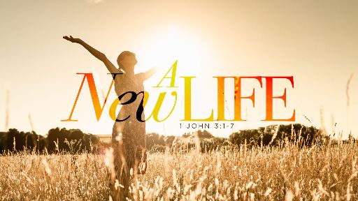 In Christ